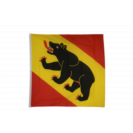 Drapeau Suisse Canton Berne Bern - 90 x 90 cm - maison-des-drapeaux.com