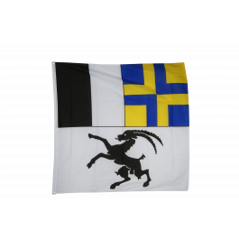 Drapeau Suisse Canton Grisons Graubünden - 90 x 90 cm - maison-des ...