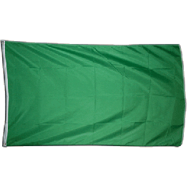 Drapeau Unicolore Vert à bas prix - maison-des-drapeaux.com