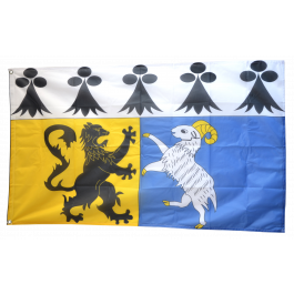 Drapeau France Finistère à bas prix - maison-des-drapeaux.com