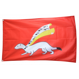 Drapeau France Vannes à bas prix - maison-des-drapeaux.com