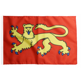 Drapeau France Laval avec ourlet - maison-des-drapeaux.com