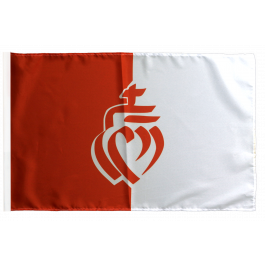Drapeau France Vendée avec ourlet - maison-des-drapeaux.com
