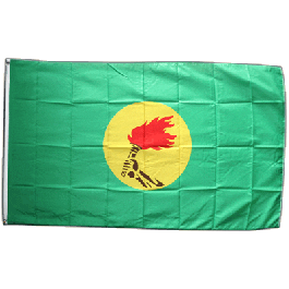 Drapeau Zaïre à bas prix - maison-des-drapeaux.com