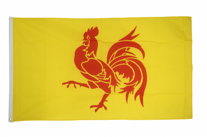Drapeau Belgique Wallonie à bas prix - maison-des-drapeaux.com