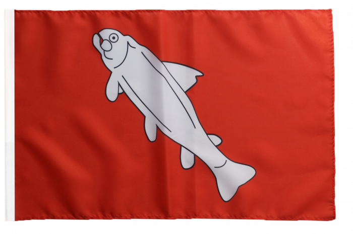 Drapeau France Annecy avec ourlet - #shop.name.lowercase#