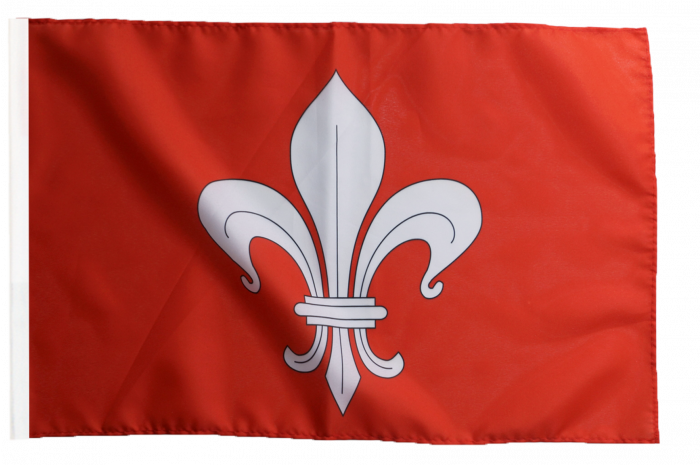 Drapeau France Lille avec ourlet - maison-des-drapeaux.com